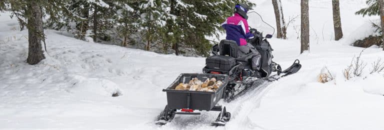 Top 5 utility snowmobiles 2024 - Snowmobile Passion