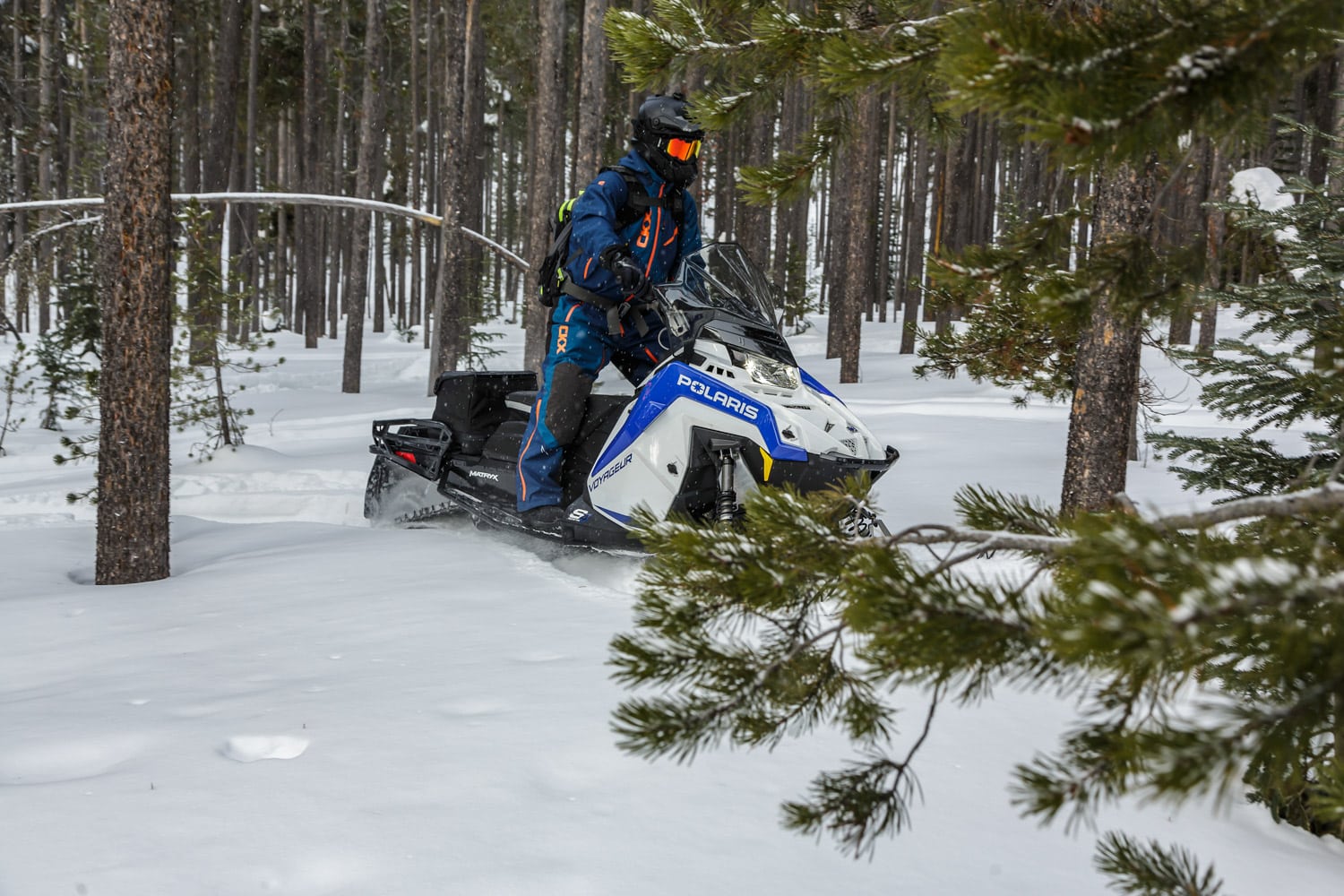 Top 5 utility snowmobiles 2024 - Snowmobile Passion