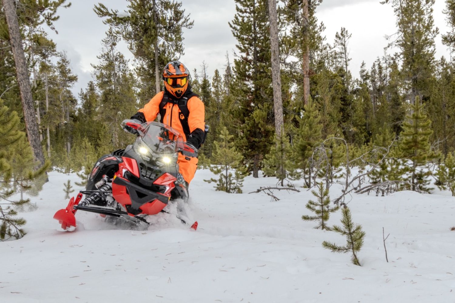 Overview of mountain snowmobiles 2025 - 4Ridersmag