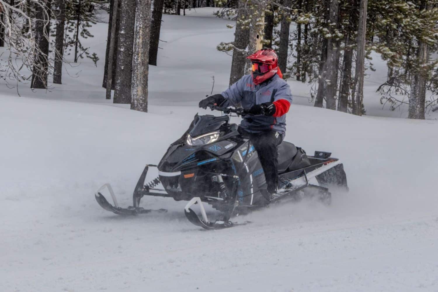 Overview of trail-hybrid snowmobiles 2025 - 4Ridersmag